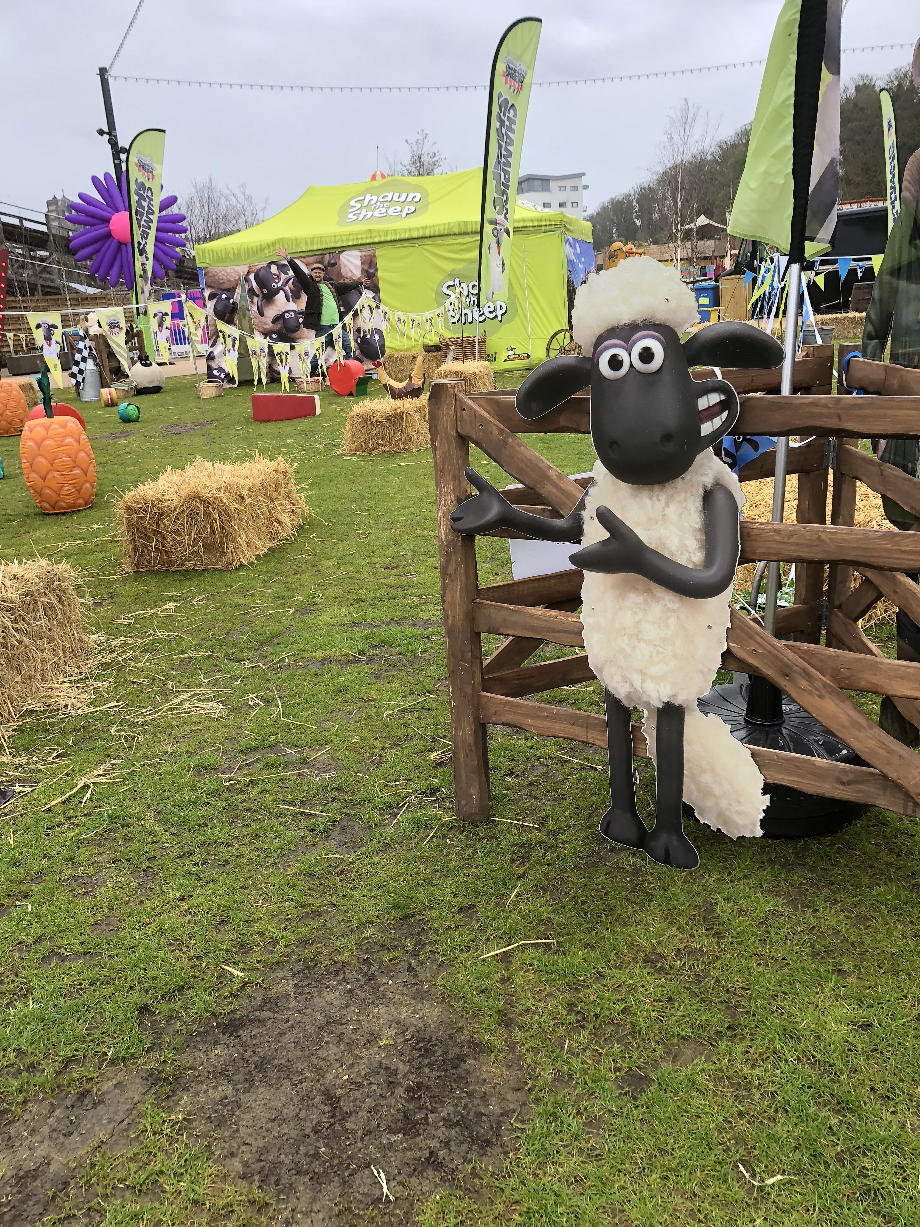 Farmyard frolics with Championsheeps Live - SGA Productions